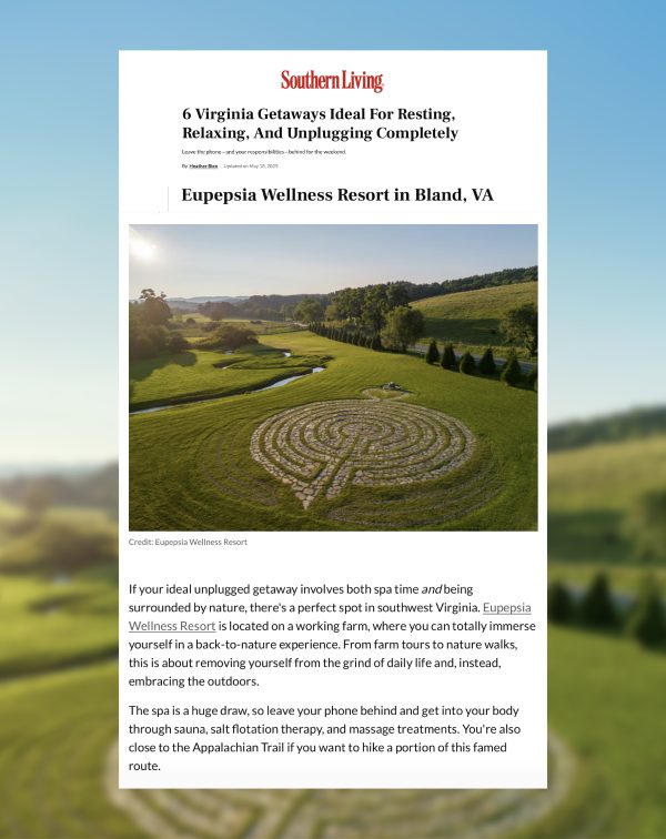 Eupepsia Wellness Center Virginia | Holistic Healing Retreat